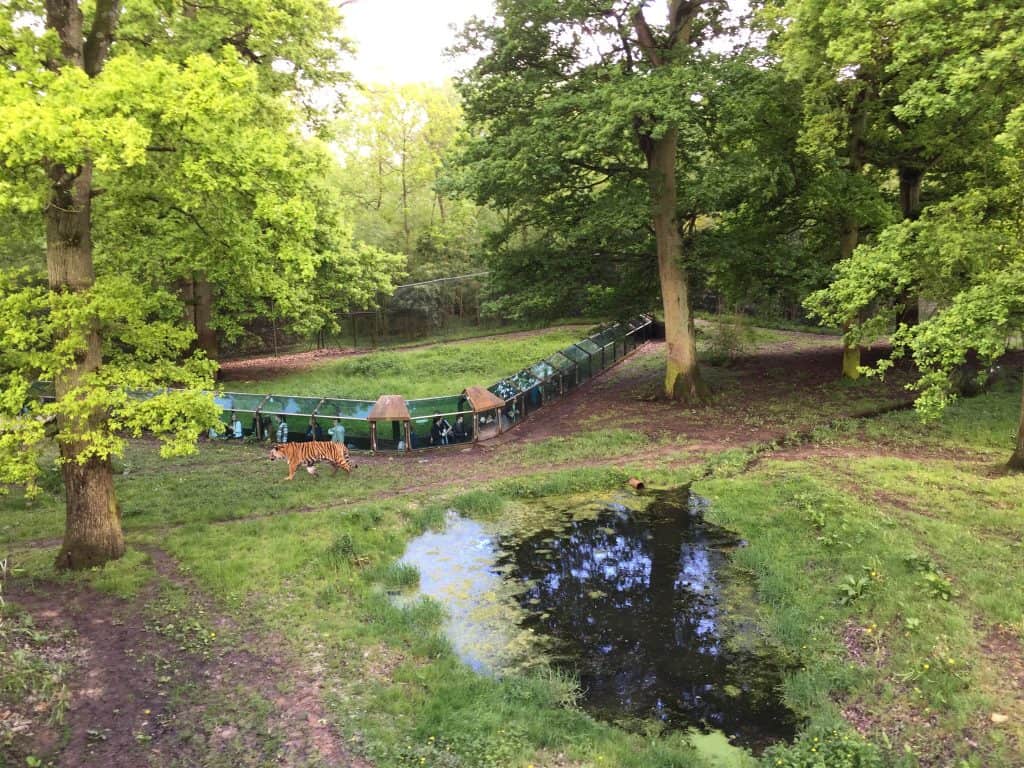 Parc zoologique de Thoiry